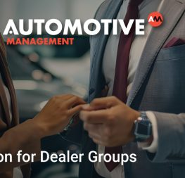 Automotive IT Consulting, Digital Automotive Partner